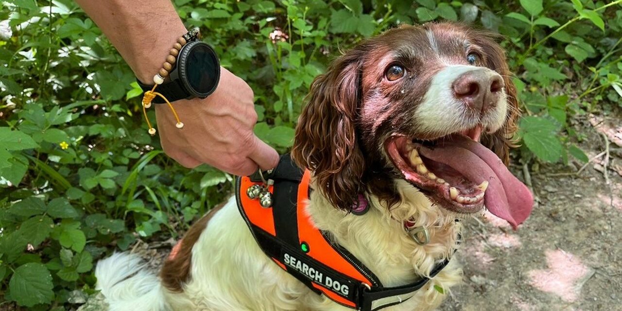 The Changing Face of Search and Rescue | Panasonic Connect